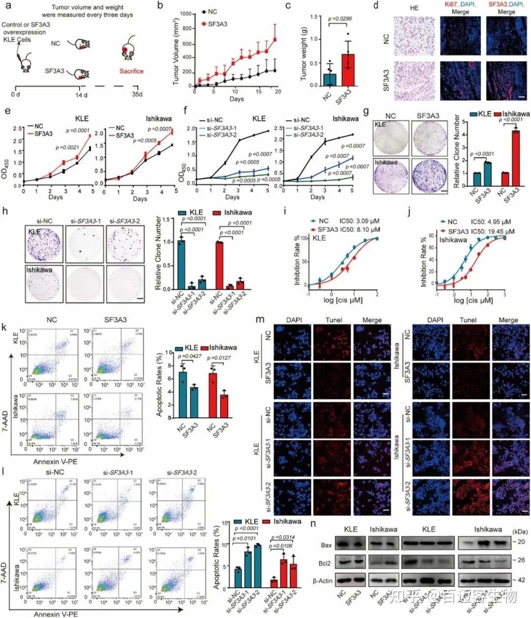IF14.1 Adv Sci | 浙江大学团队发表突破性研究成果 - 知乎