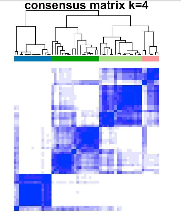 两行代码10+张图的聚类神器ConsensusClusterPlus（上） - 知乎
