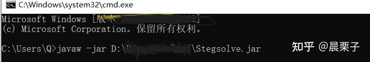 Stegsolve.jar工具包如何启动，避坑指南 - 知乎