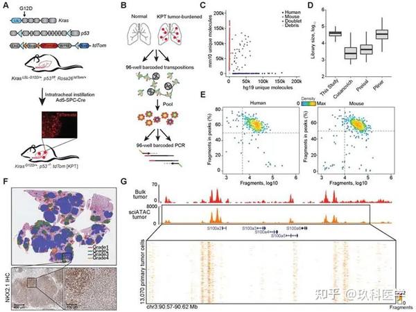 SCI写作|蛋白、代谢、表观遗传、非编码RNA组学技术相关研究解析 - 知乎