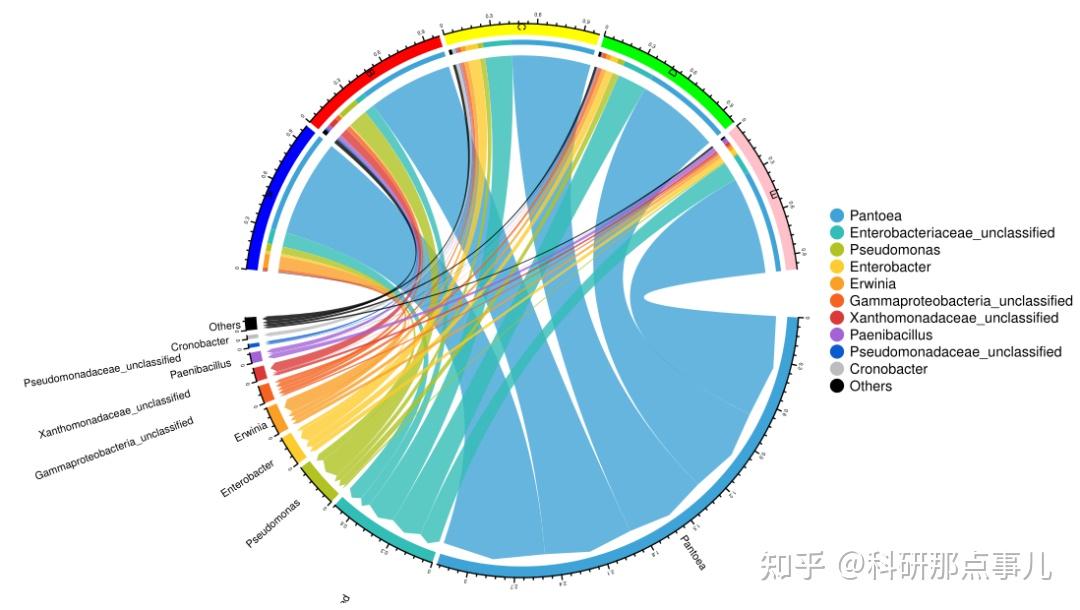 基于R语言的微生物群落组成多样性分析——物种丰度可视化之弦图（Chord Diagram） - 知乎