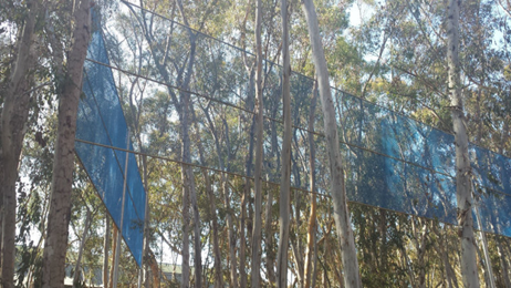 UCSD景观记（八）Two Running Violet V Forms - 知乎