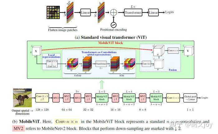 MobileViT: 将CNN与transformer结合的轻量网络 - 知乎