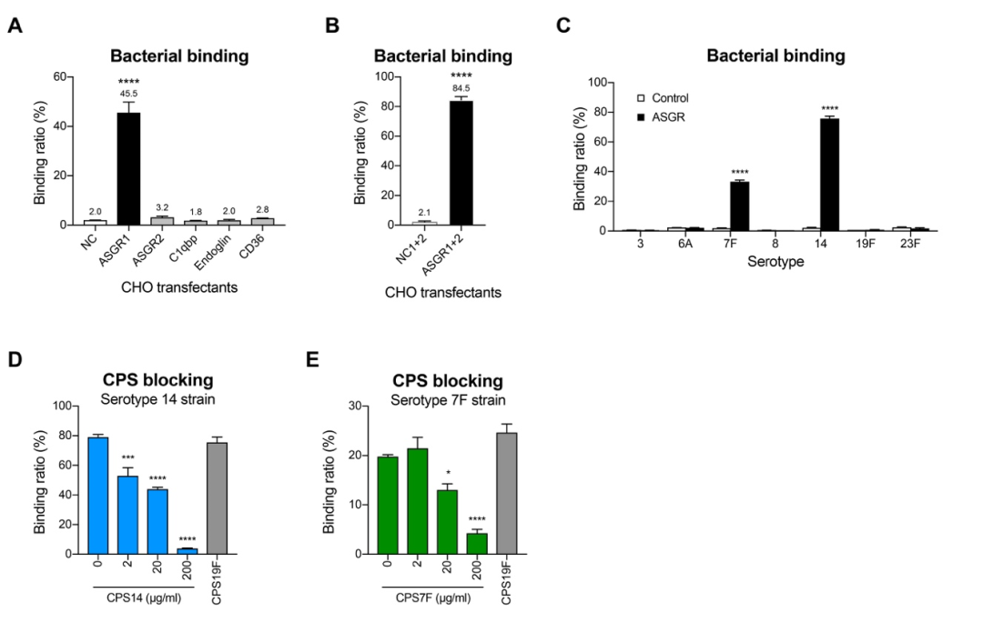 STAR Protocols︱清华大学张敬仁团队发表鉴定细菌荚膜多糖免疫识别受体的实验方案 - 知乎