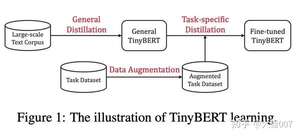 一文详解TinyBERT - 知乎