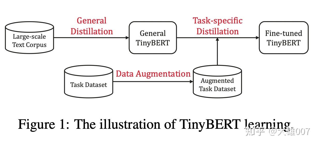 一文详解TinyBERT - 知乎