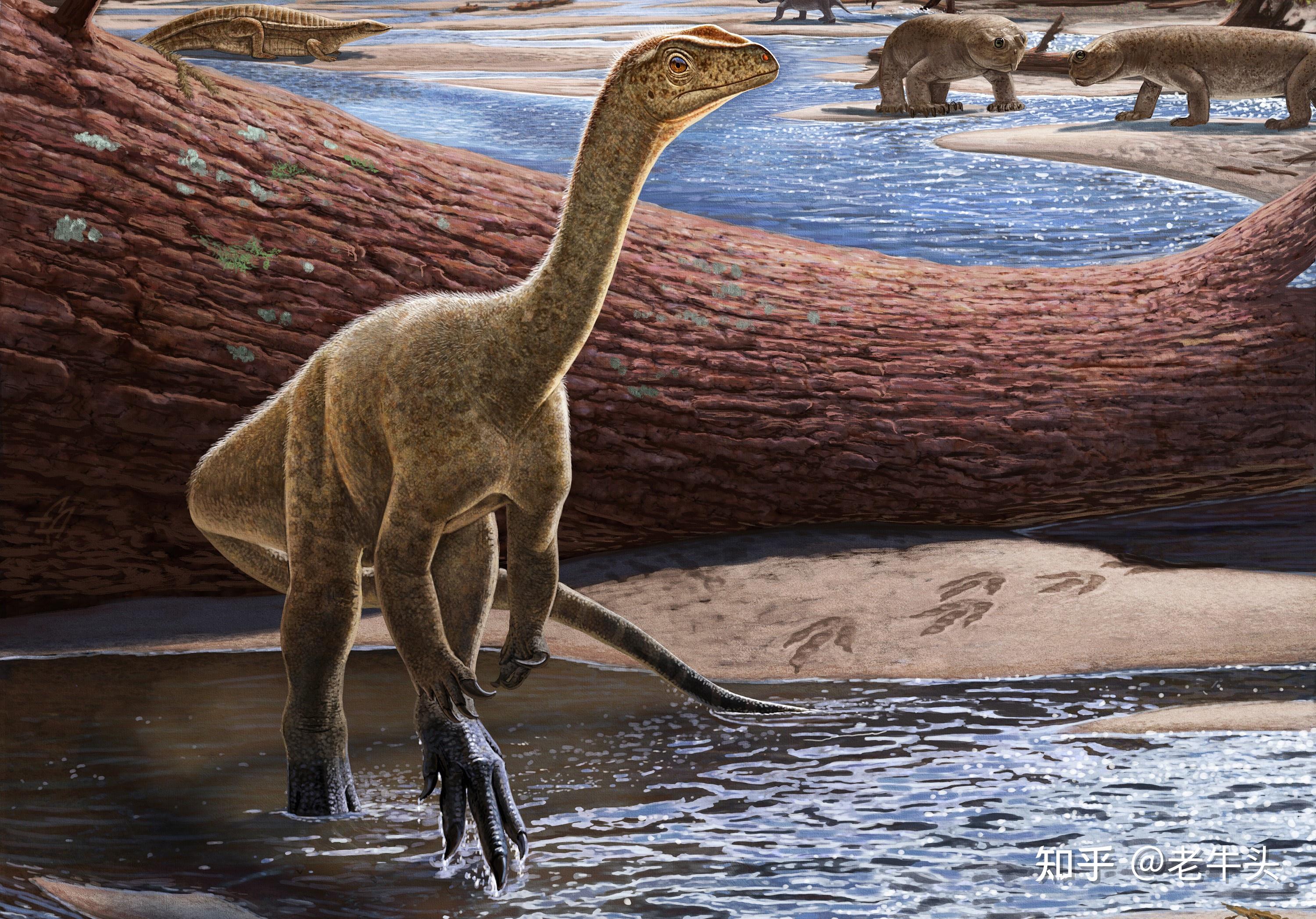 津巴布韦发现非洲最早的完整恐龙化石！恐龙是何时开始扩散的？（2022年8月31日） - 知乎
