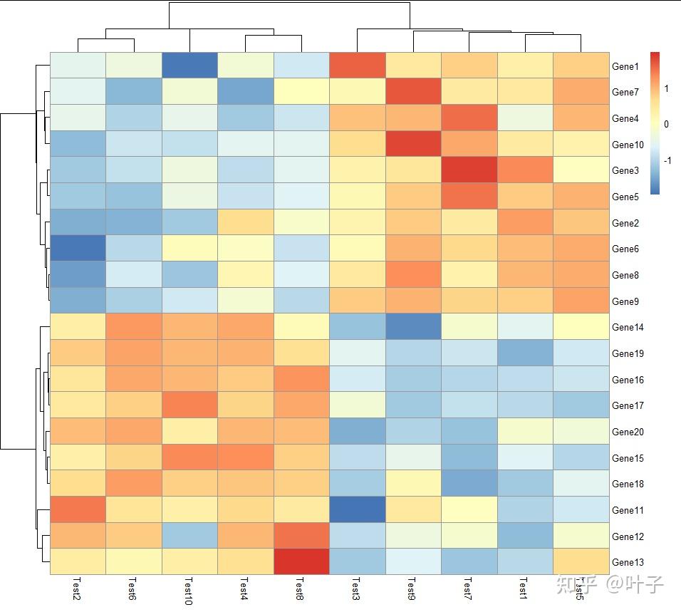 R-pheatmap绘制热图 -学习笔记 - 知乎