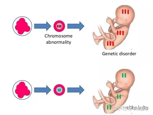 PGD /PGS/CCS/NGS:这些都是同一个技术吗？ - 知乎