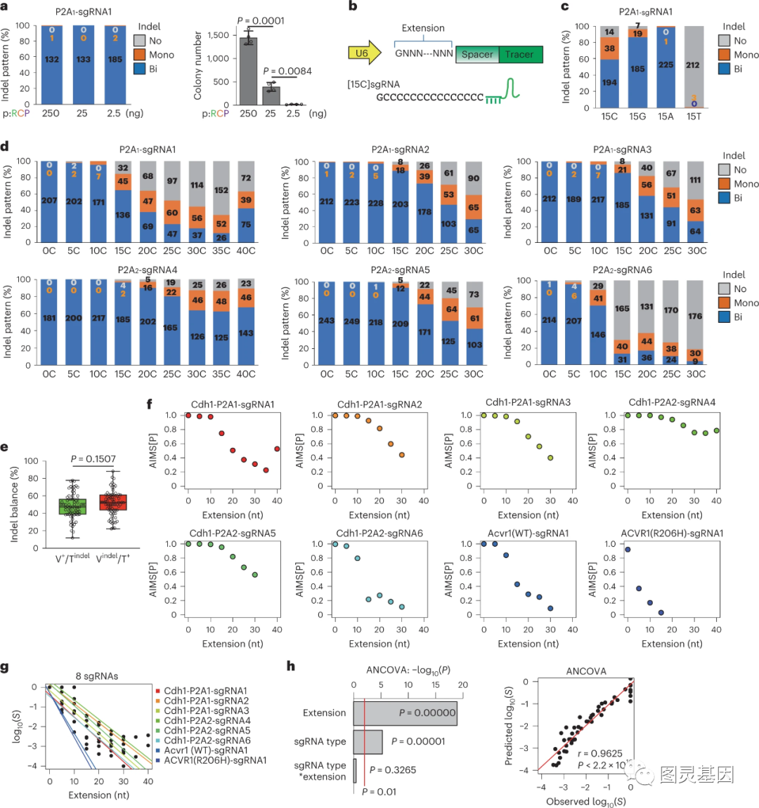 Nat Bio Eng | 微调Cas9提高基因组编辑的安全性和适用性 - 知乎