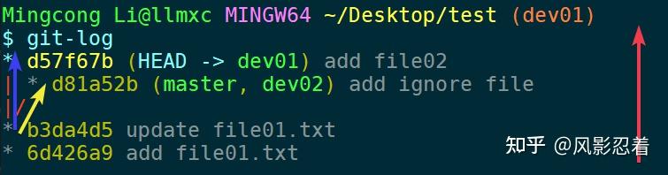 GitHub（五）本地仓库：分支的创建与合并 - 知乎