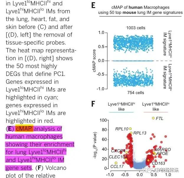 Connectivity Map(cMap)的探索应用（二） - 知乎