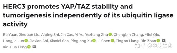 冯新华团队揭示HERC3促进YAP/TAZ蛋白稳定和肿瘤发生发展作用及分子机制 - 知乎