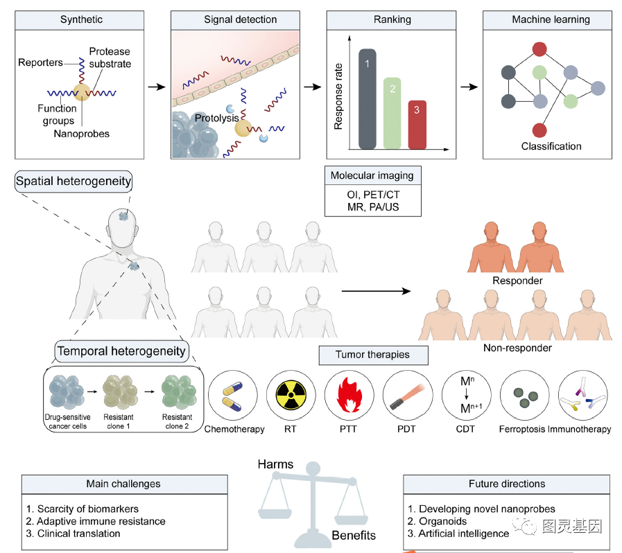 Che Soc Rev |北京大学应用纳米探针分子成像于肿瘤患者分层 - 知乎