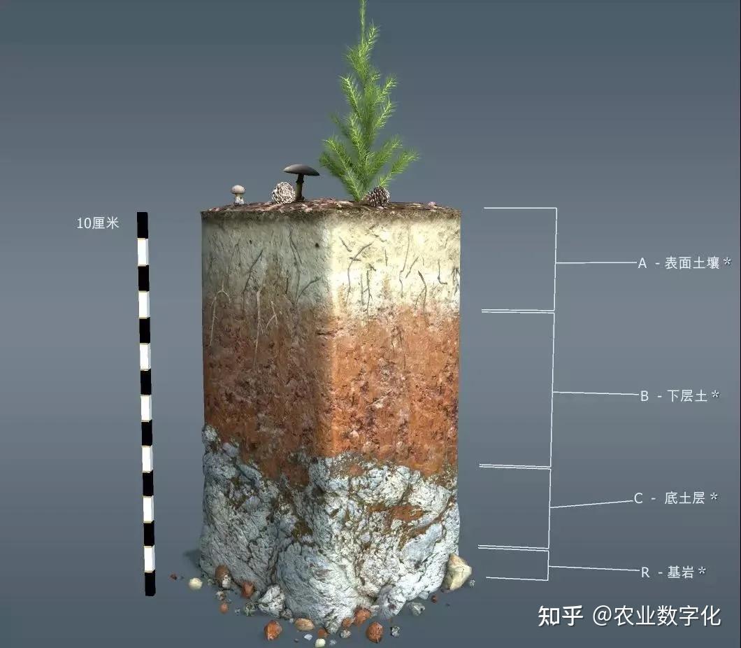 【农业大数据】中国土壤类型分布 知乎