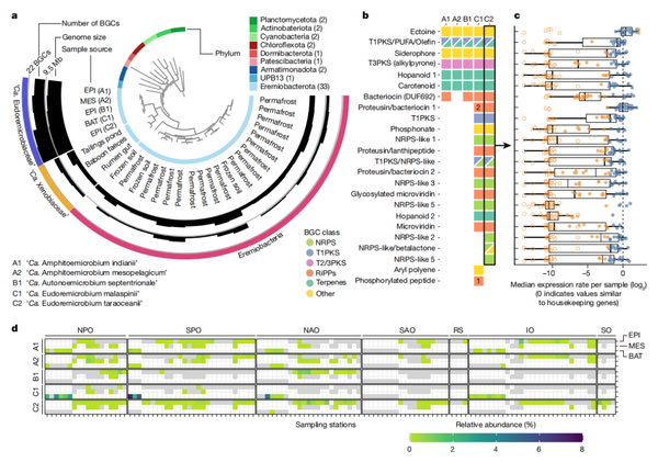 Nature |HiFi宏基因组助力挖掘海洋“新”微生物组 - 知乎