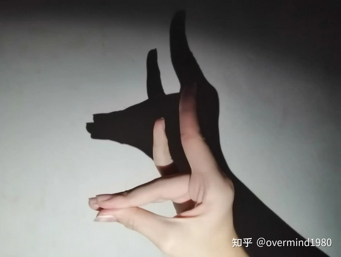 [oeasy]python0048_取整_int_float_浮点型_cast_扮演_tab_制表键_制表符 - 知乎