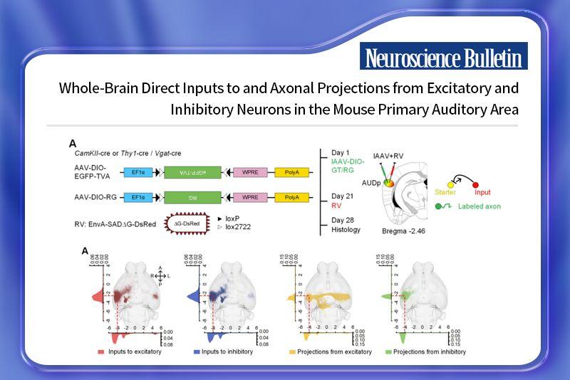 进展汇编：近期应用国产成像技术fMOST的14篇重要学术成果 - 知乎