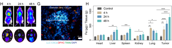 施剑林院士课题组JACS：雾化吸入式纳米铁剂治疗早期肺癌 - 知乎