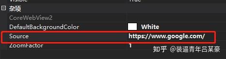 WebView2 - 知乎