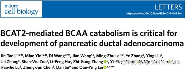 Nature子刊|BCAT2介导的BCAA分解代谢是胰腺导管腺癌发生发展的关键 - 知乎