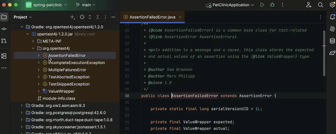 IDEA 2025.1王炸升级，真香！ - 知乎