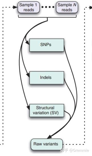 重测序数据分析（短序列的比对算法SNP/indel 和CNV/SV calling 方法） - 知乎