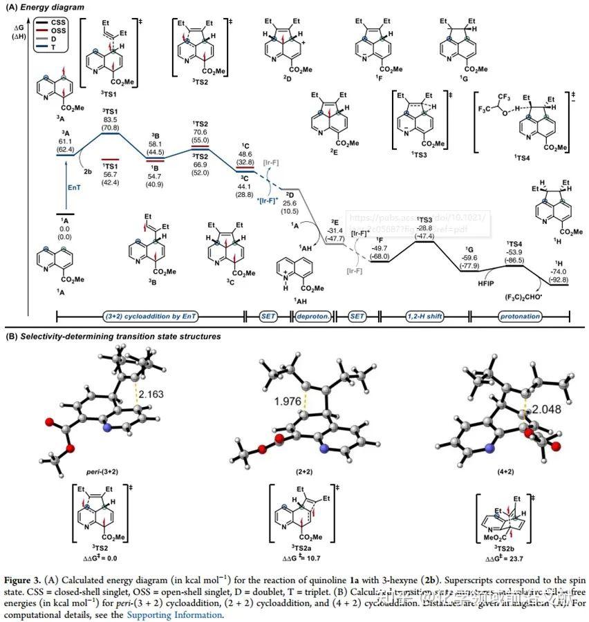 Frank Glorius与Kendall N. Houk合作JACS：可见光催化喹啉的周环(3+2)环加成 - 知乎