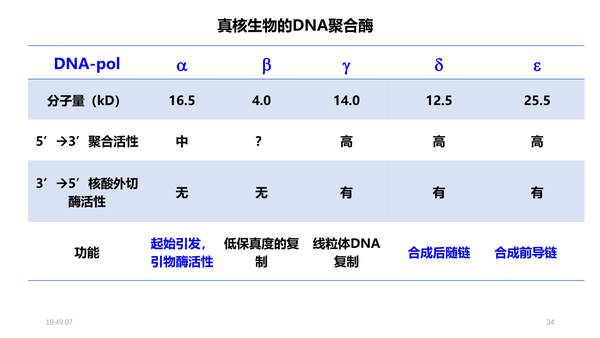生化与分子生物学——分子生物学篇之DNA生物合成和损伤修复 - 知乎