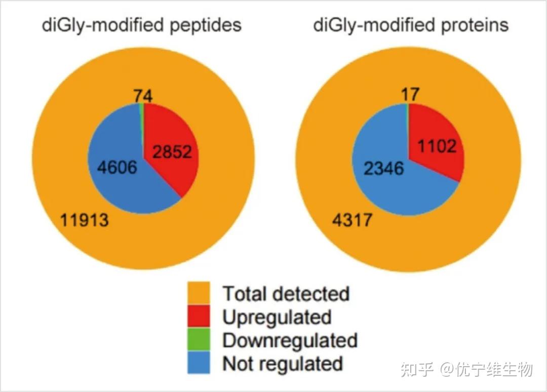 泛素化蛋白质组学技术及应用实例文献解析 - 知乎