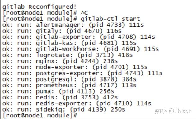 在Windows 11上搭建GitLab - 知乎