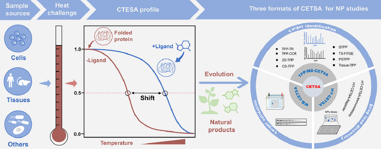 化学蛋白质组学与药物靶点筛选：DARTS、LiP-MS、TPP、CETSA技术的深度解析 - 知乎