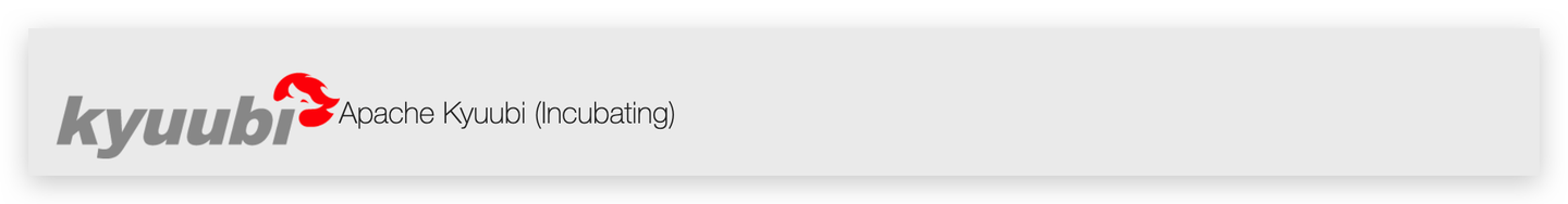 第一次体验Apache Kyuubi - 知乎