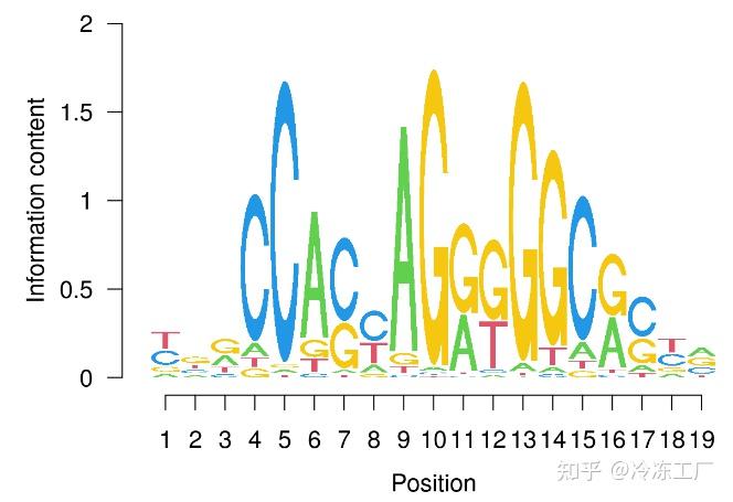 ATAC-seq分析：Motifs分析（11） - 知乎