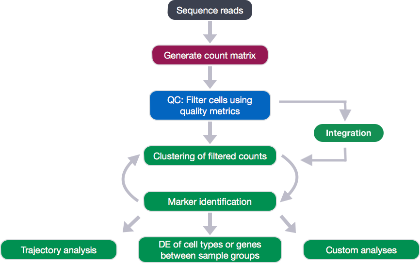scRNA-seq入门——第四章 质控流程 - 知乎