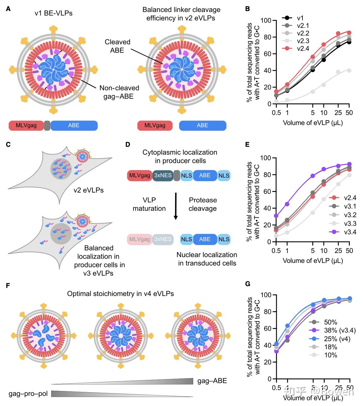 碱基编辑器的发展历程 - 知乎