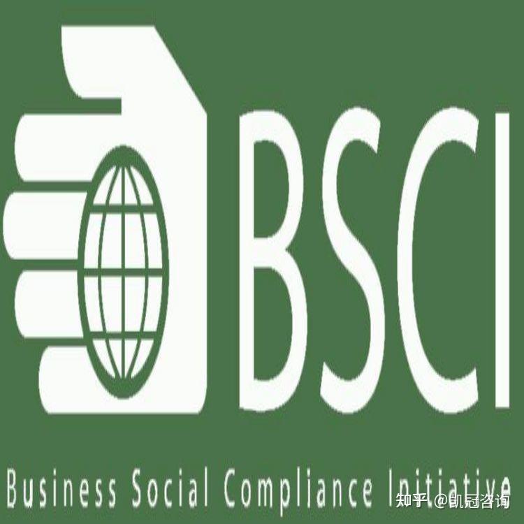 芜湖BSCI验厂审核详情、宣城C-TPAT认证辅导要求标准的什么 - 知乎