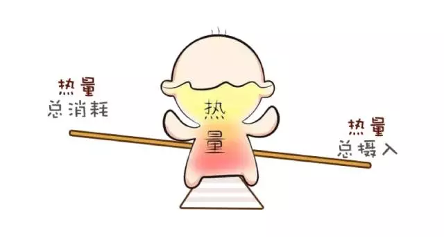 减肥的你，知道自己每天消耗多少热量么？ 知乎