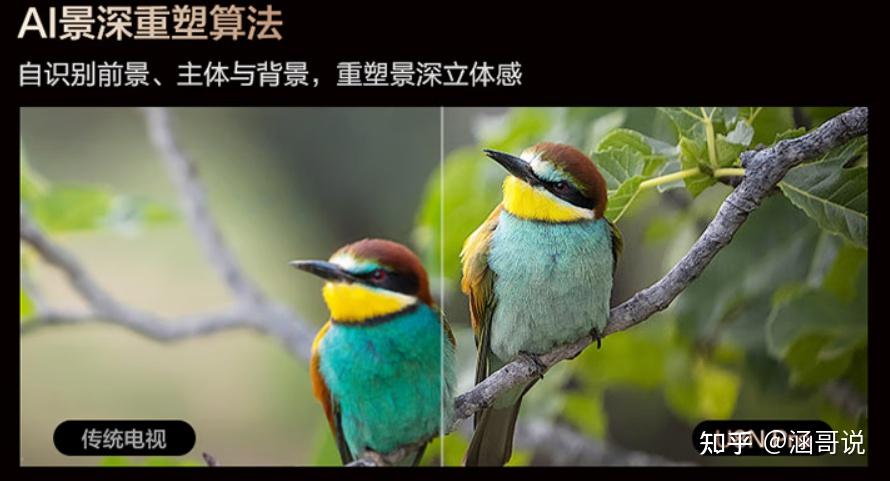 2024年海信电视新品E5N Pro，U7N，U8N Pro系列，哪1个系列画质更好？哪1个系列性价比更高，1文解读