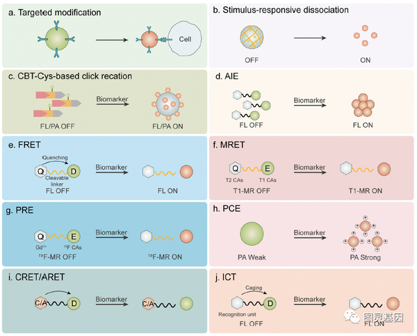 Che Soc Rev |北京大学应用纳米探针分子成像于肿瘤患者分层 - 知乎