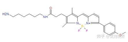 BDP TMR amine是BDP TMR的衍生物，含有一个伯胺基团，2183473-08-5 - 知乎