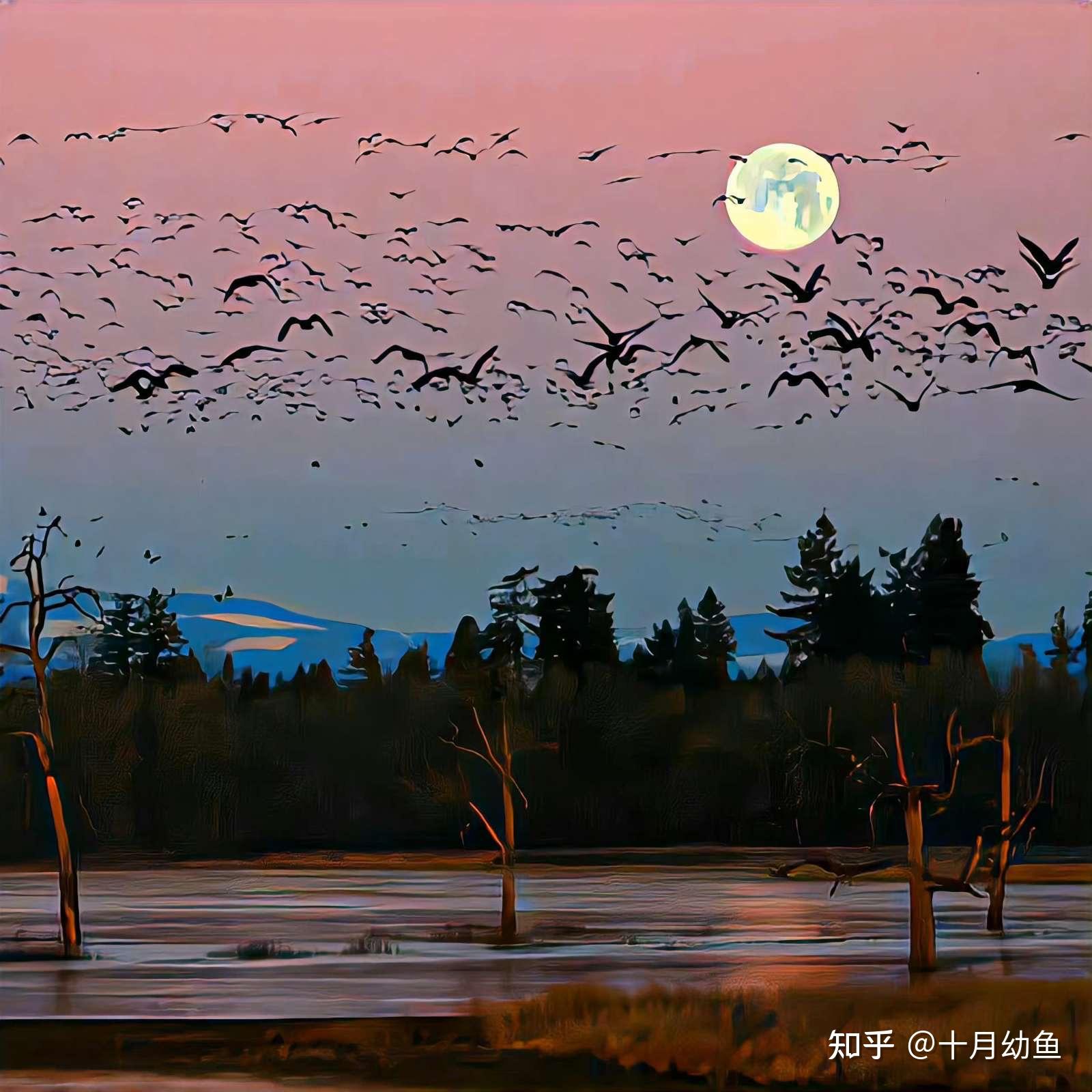 《蜡笔小新》治愈系语录 - 知乎