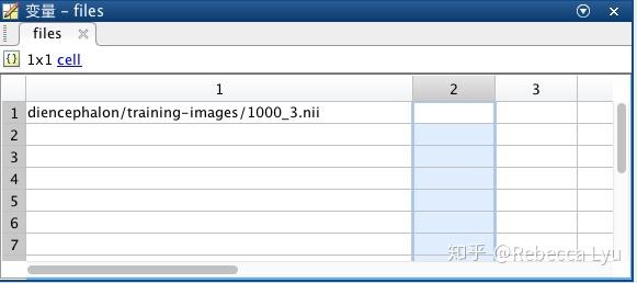 matlab读入及保存nii.gz格式的文件 - 知乎