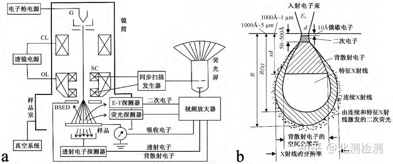 扫描电镜and能谱(semandeds)分析 知乎