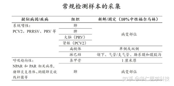 认识猪呼吸道疾病综合征（PRDC） - 知乎