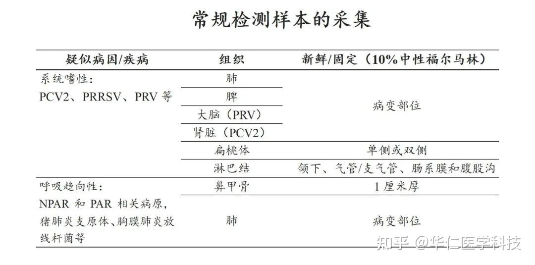 认识猪呼吸道疾病综合征（PRDC） - 知乎