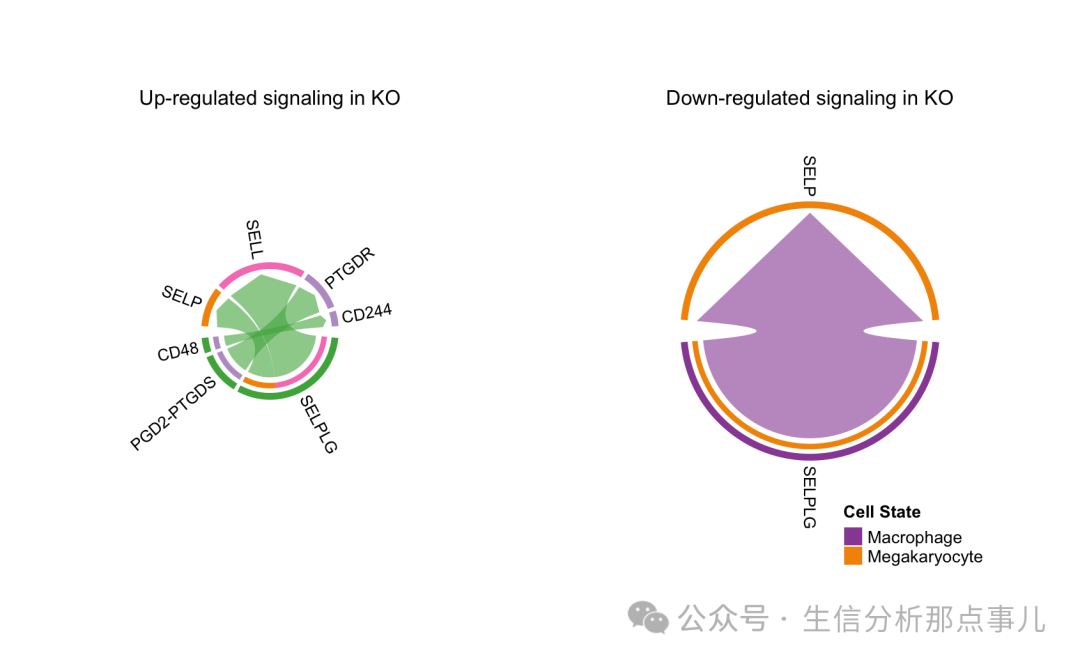 绝对干货： 一篇代码搞定Cellchat细胞通讯所有可视化 - 知乎