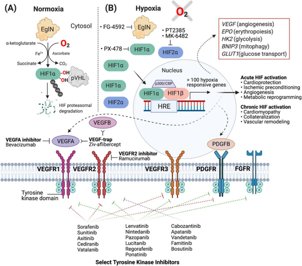 临床前沿 | Javid Moslehi USCF心脏病学团队牵头发表原创研究 - 知乎