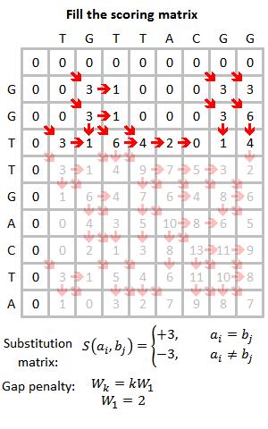 [算法][基因测序]Smith–Waterman algorithm - 知乎