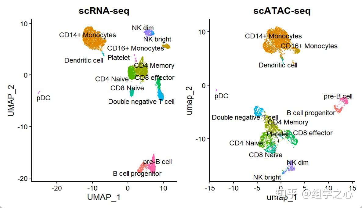 Signac包-1.Analyzing PBMC scATAC-seq - 知乎